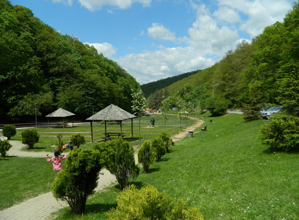 Home - Prishtina Live